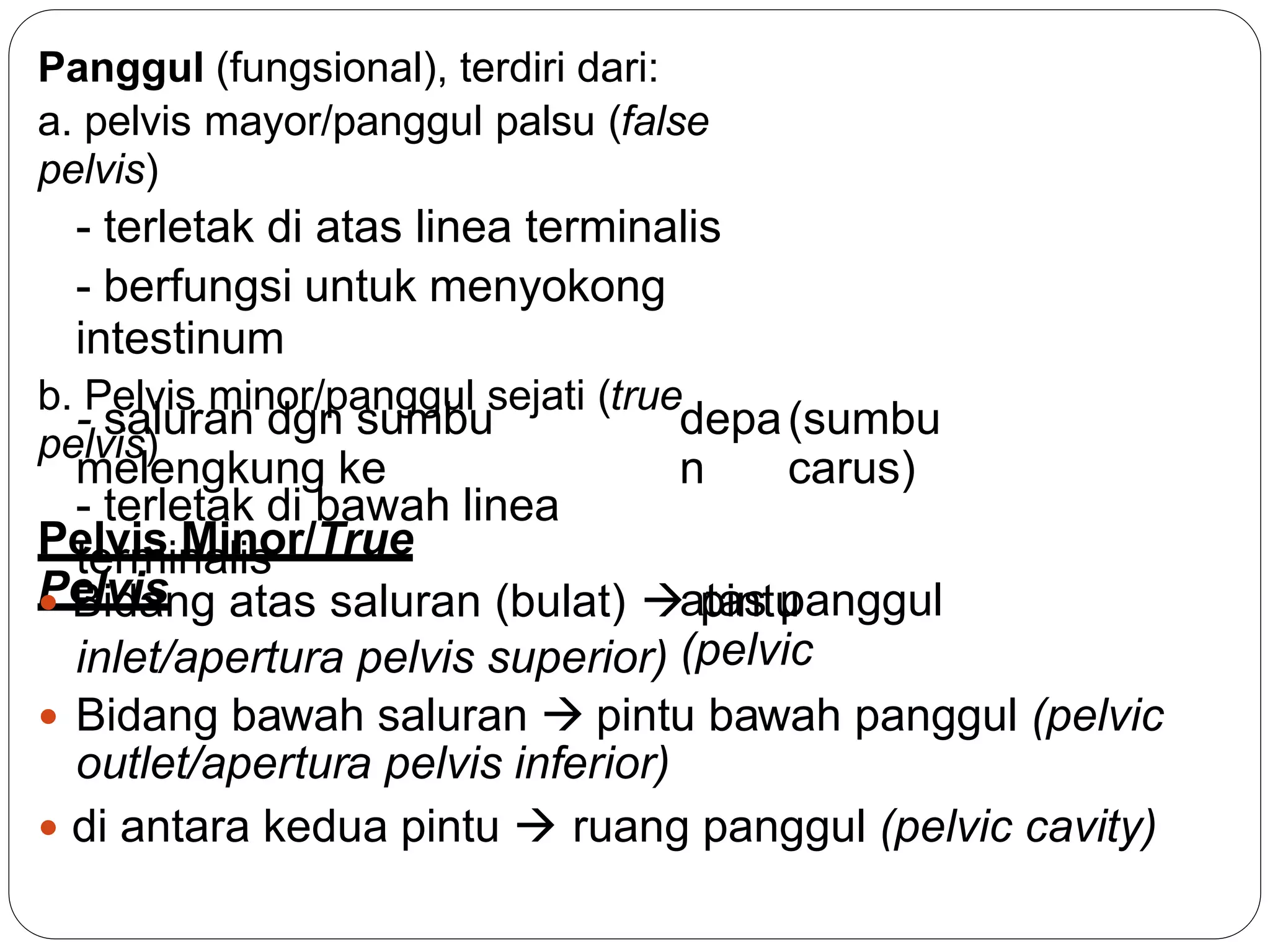 BENTUK & UKURAN PANGGUL by syerli.pptx