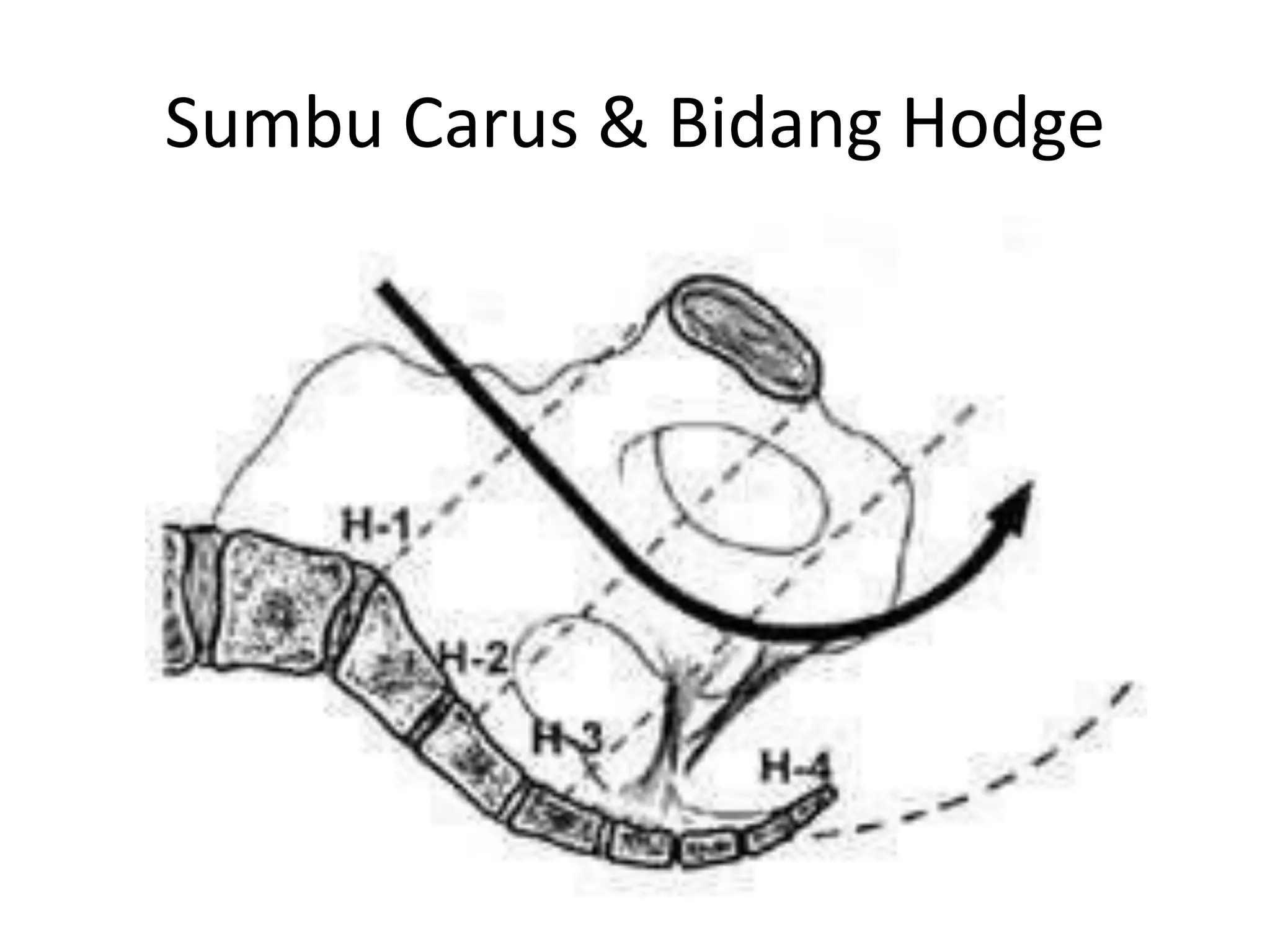 BENTUK & UKURAN PANGGUL by syerli.pptx