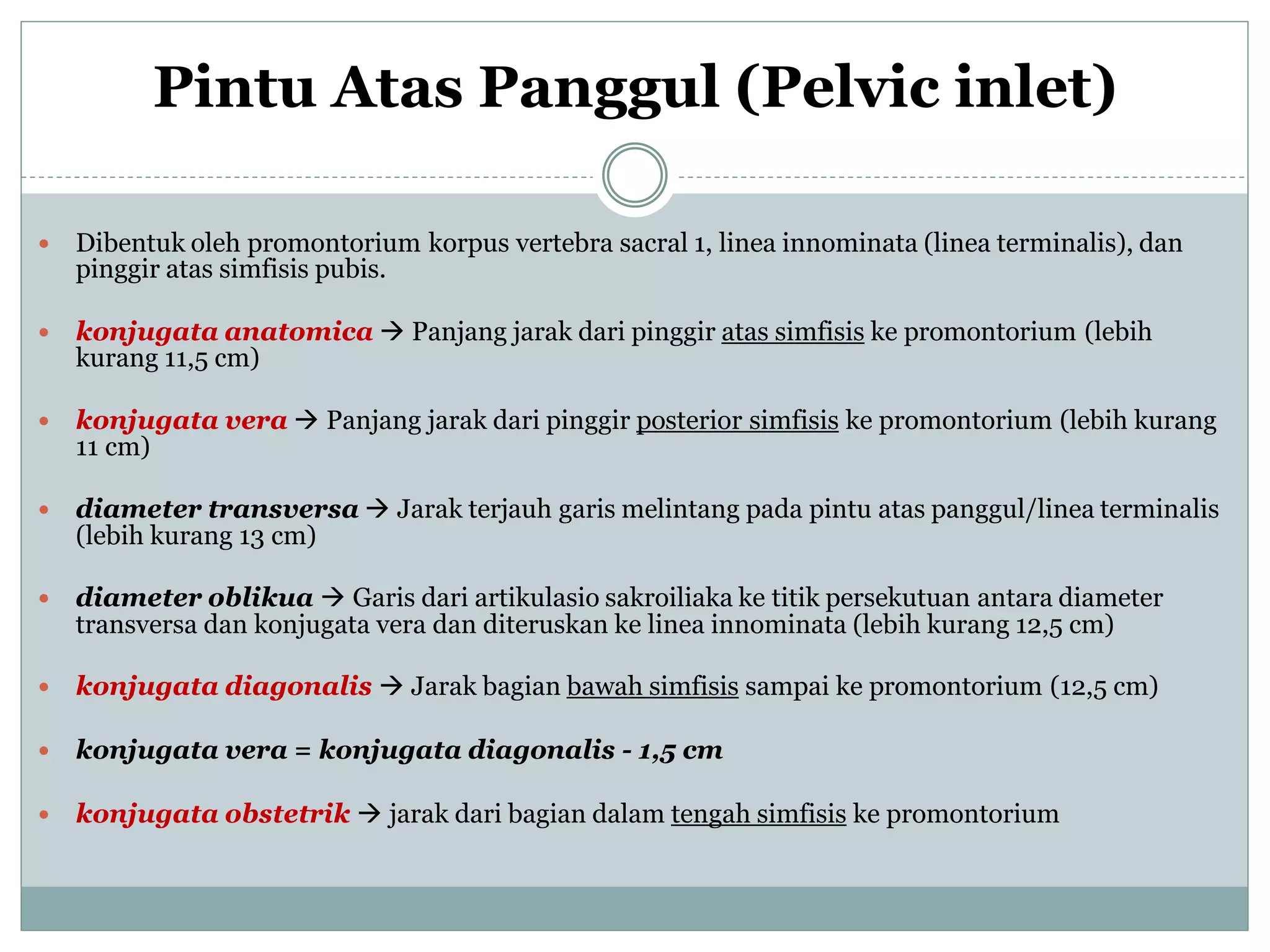 BENTUK & UKURAN PANGGUL by syerli.pptx