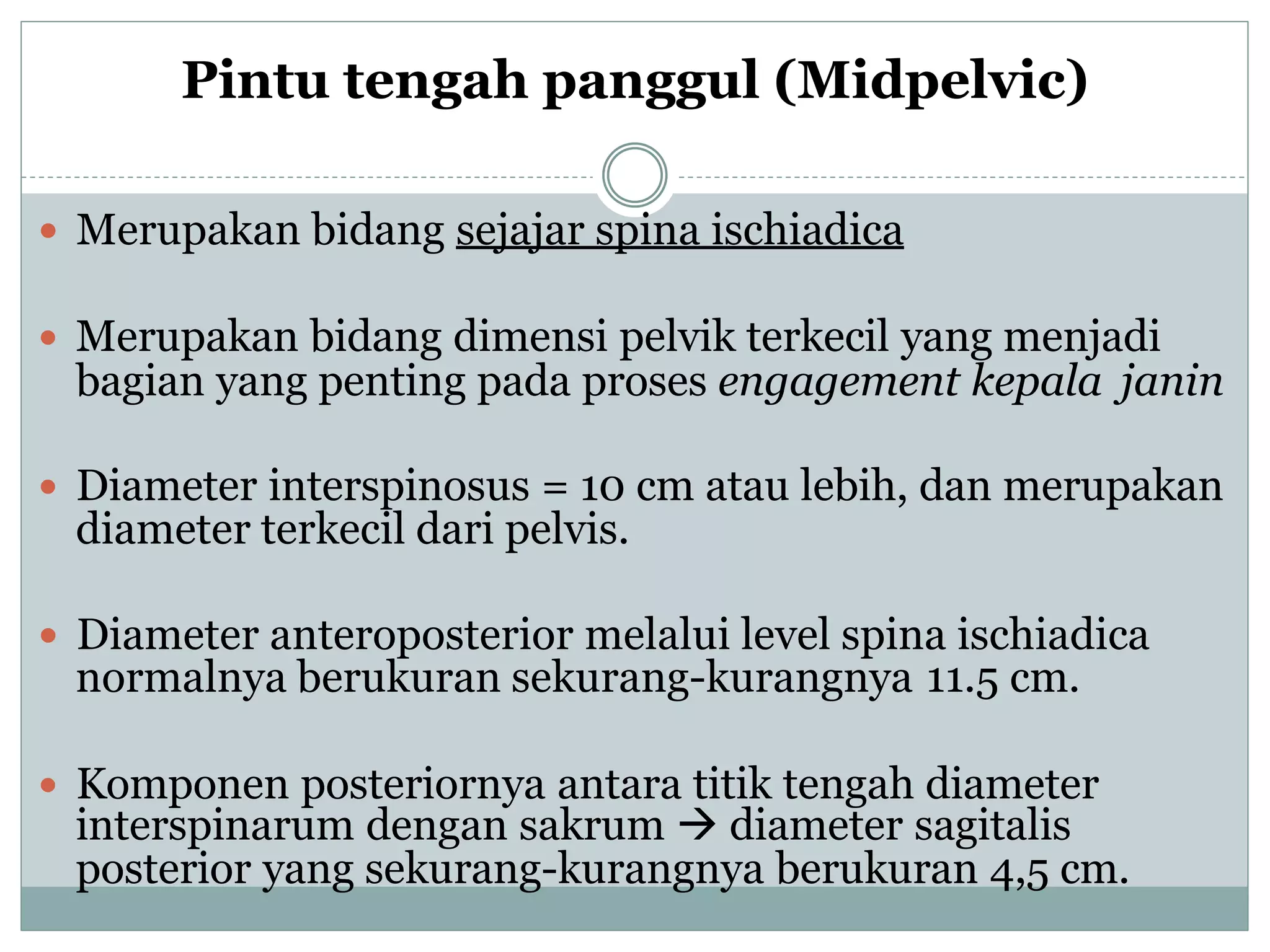 BENTUK & UKURAN PANGGUL by syerli.pptx