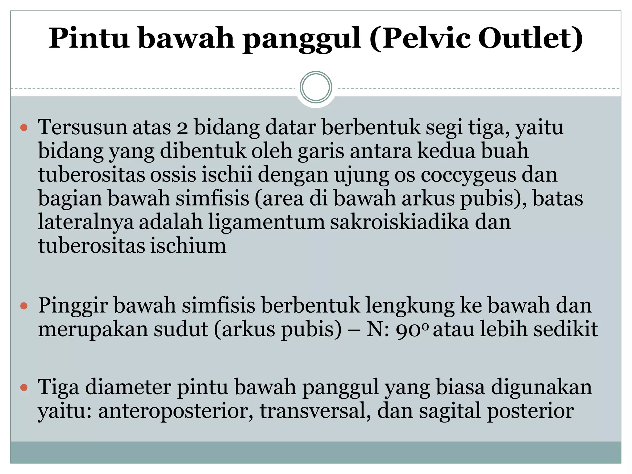BENTUK & UKURAN PANGGUL by syerli.pptx