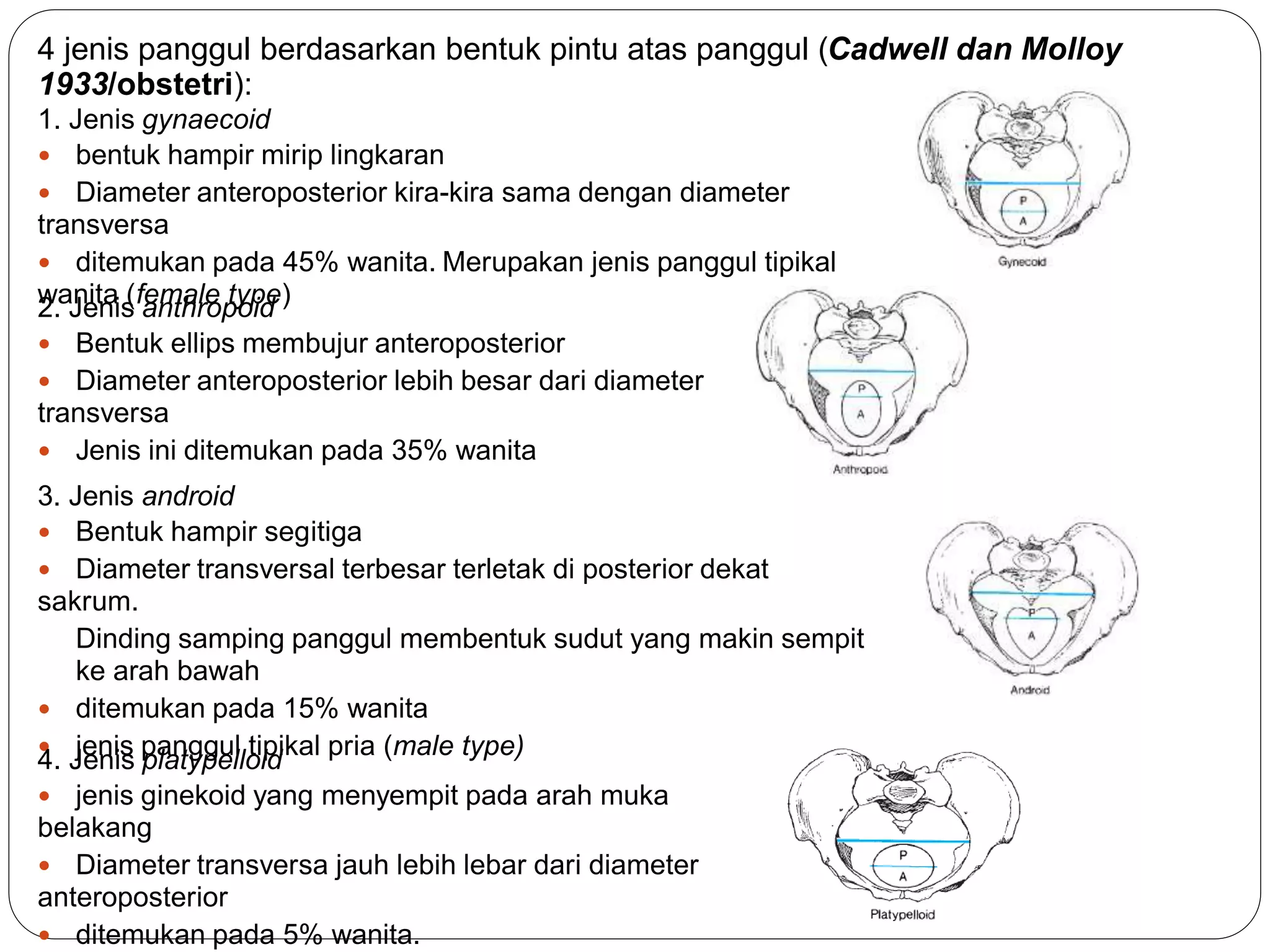 BENTUK & UKURAN PANGGUL by syerli.pptx