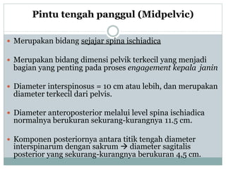 BENTUK & UKURAN PANGGUL by syerli.pptx