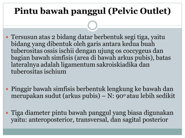 BENTUK & UKURAN PANGGUL by syerli.pptx