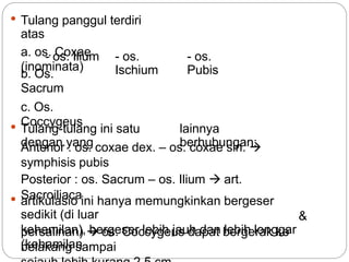 BENTUK & UKURAN PANGGUL by syerli.pptx