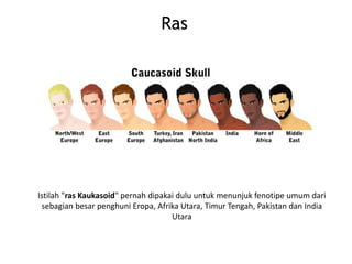 Geografi Kelas 11 : Benua eropa | PPTX