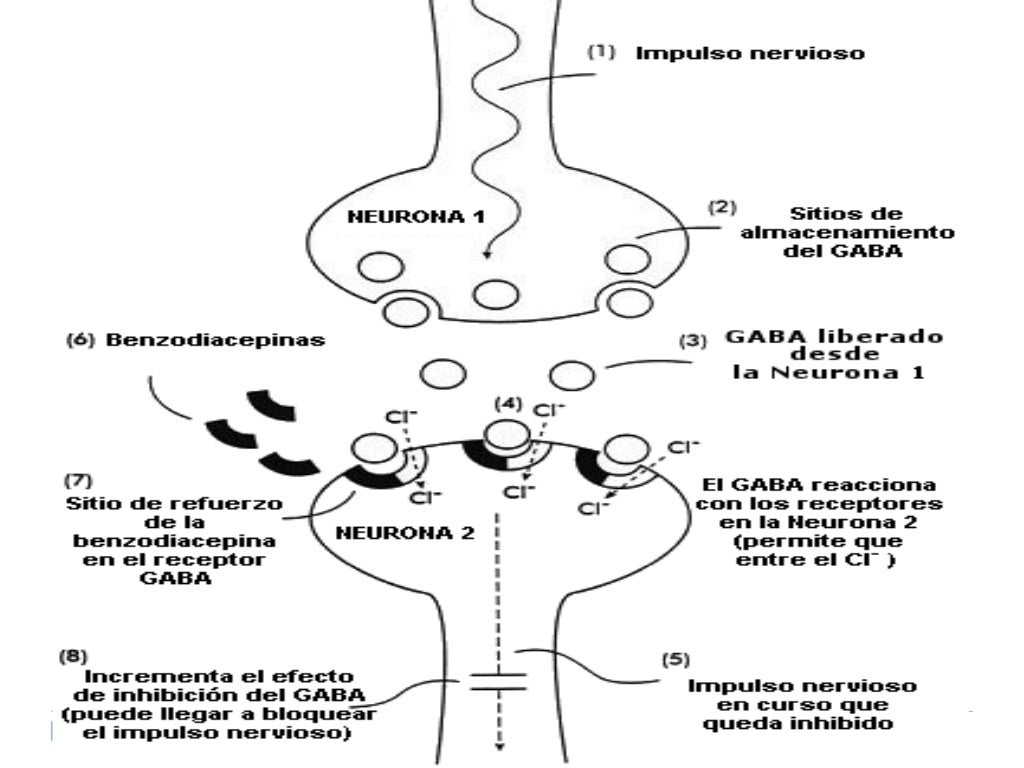 Benzodiazepinas 1