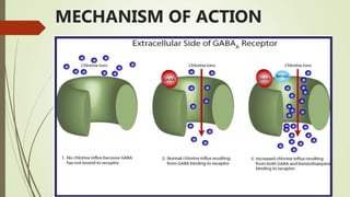 Benzodiazepines Mechanism Of Action