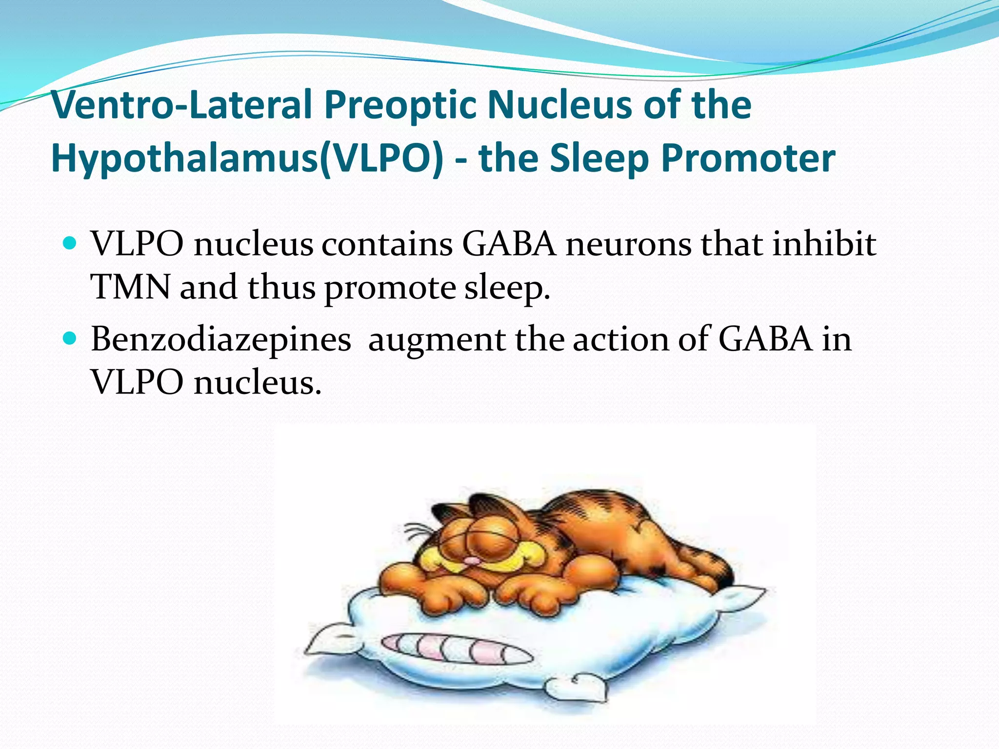 Benzodiazepines | PPTX