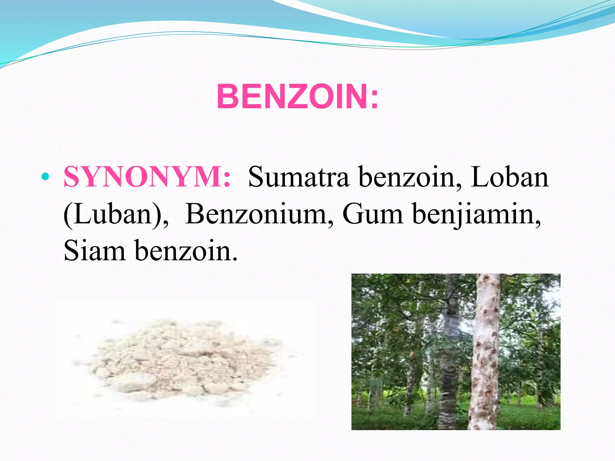 Benzoin | PPTX