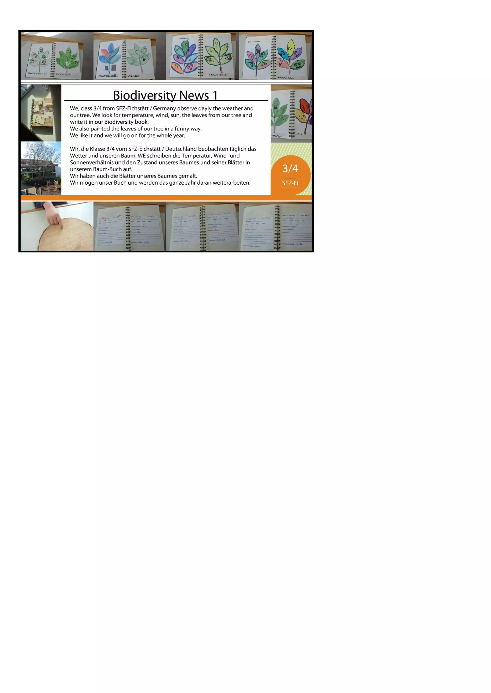 Observing weather book | PDF