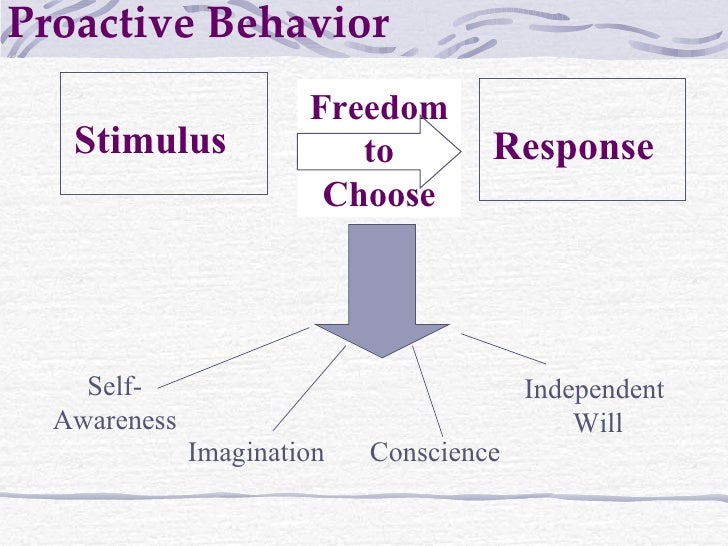 Proactive Behavior