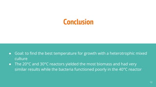 Growth of Bacteria | PPT