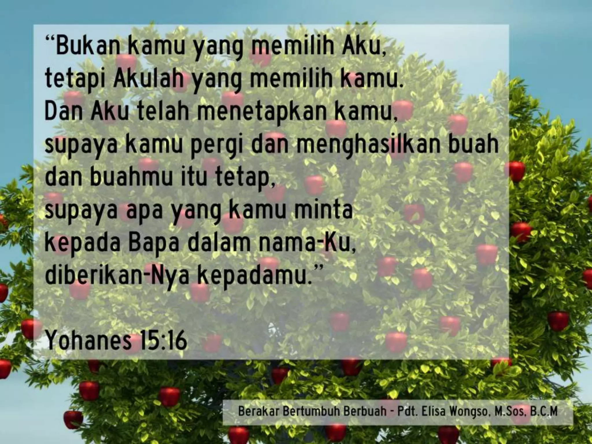 Berakar bertumbuh berbuah | PPSX