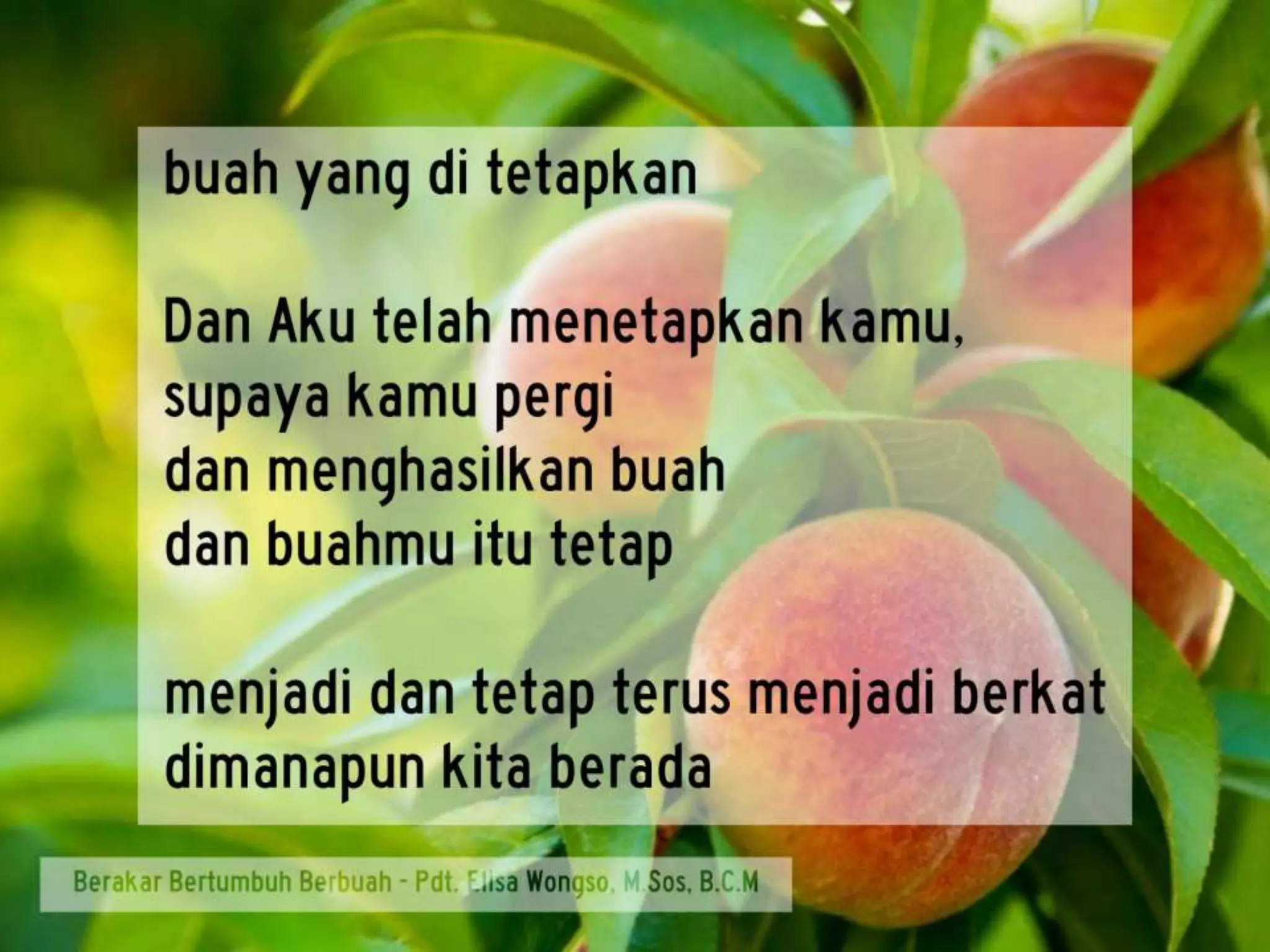 Berakar bertumbuh berbuah | PPSX