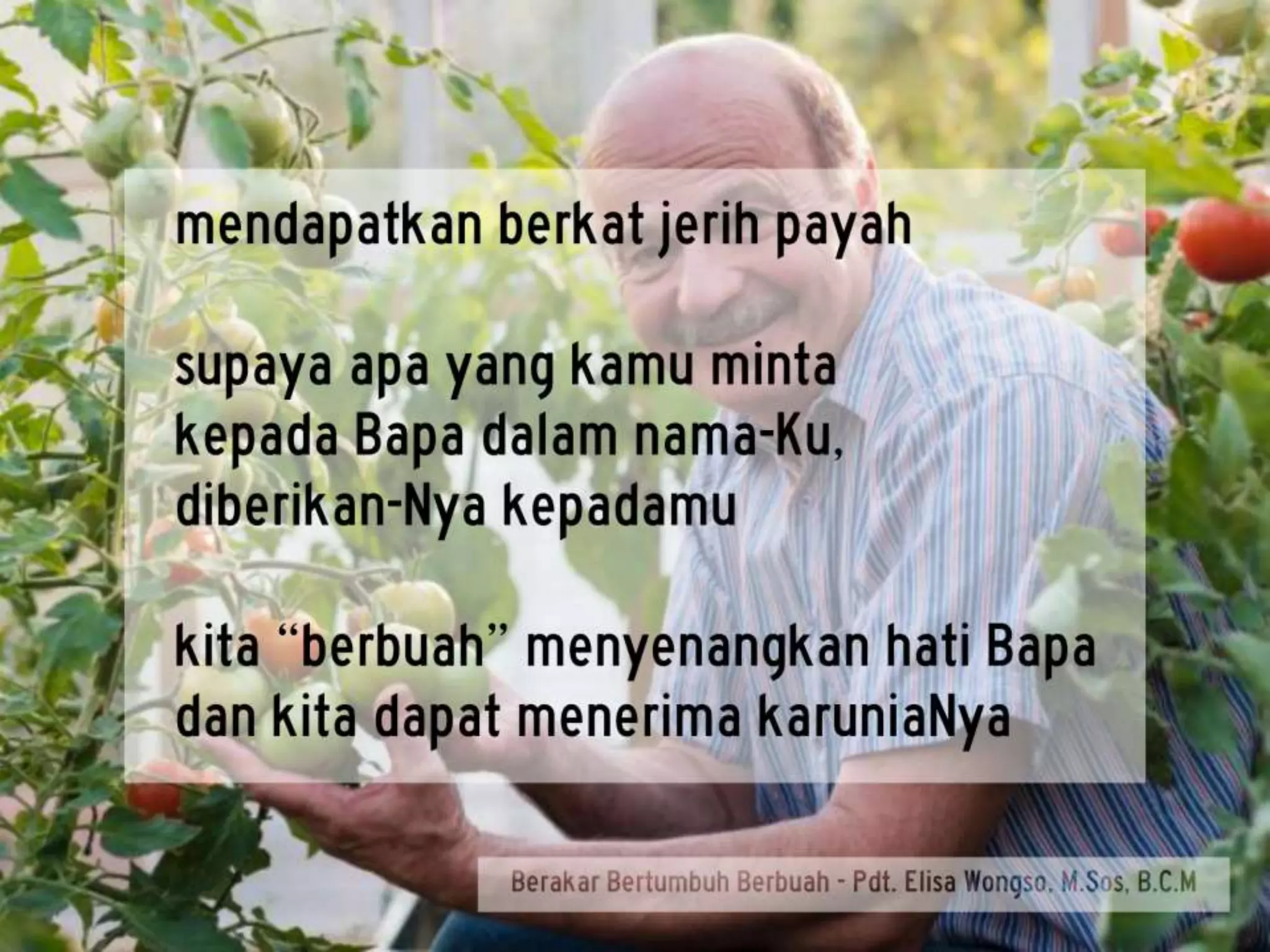 Berakar bertumbuh berbuah | PPSX