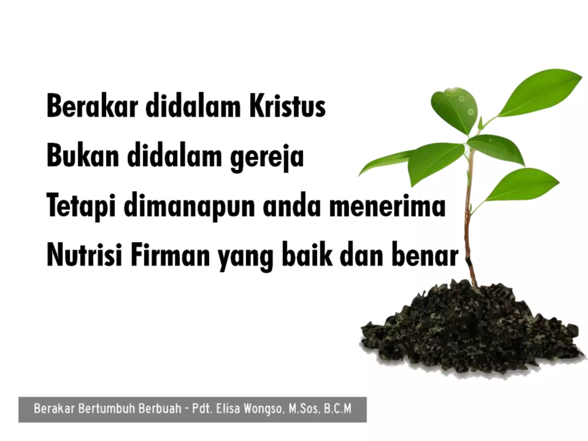 Berakar bertumbuh berbuah | PPSX