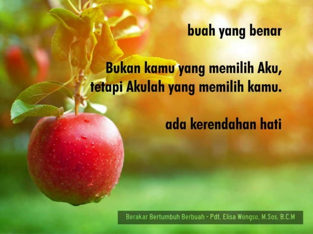 Berakar bertumbuh berbuah | PPSX