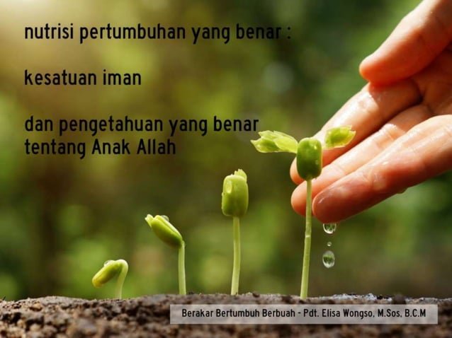 Berakar bertumbuh berbuah | PPSX