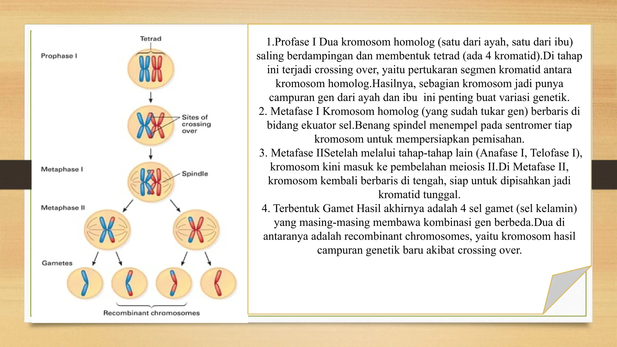 BERANGKAI DAN PINDAH SILANG genetika kel 2.pptx