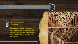 Berat Jenis dan Kerapatan.pptx