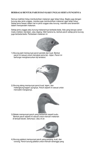 Berbagai bentuk paruh dan kaki unggas serta fungsinya | DOCX