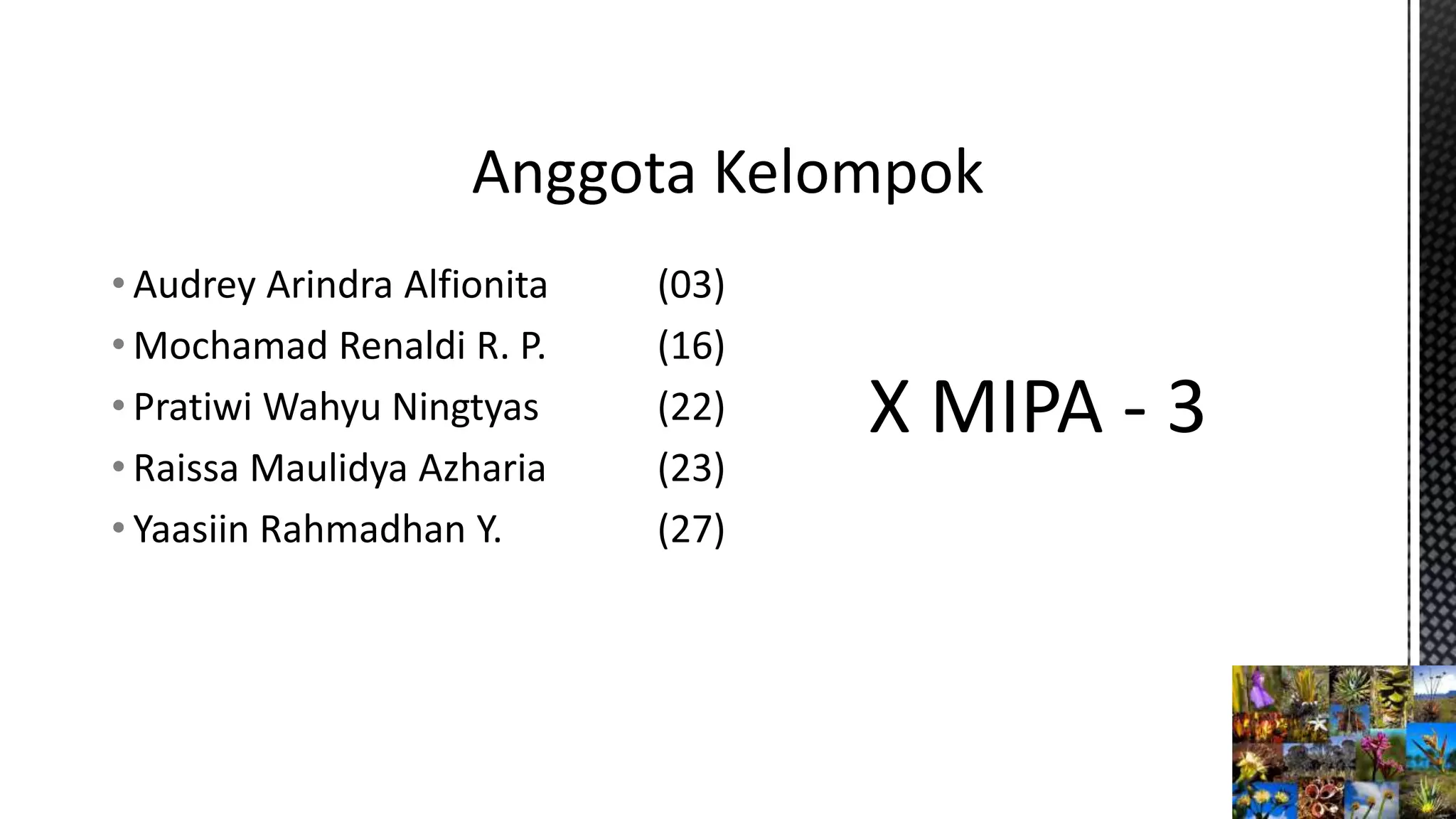 Bab 2 Biologi Kelas X (Keanekaragaman Hayati) | PPTX