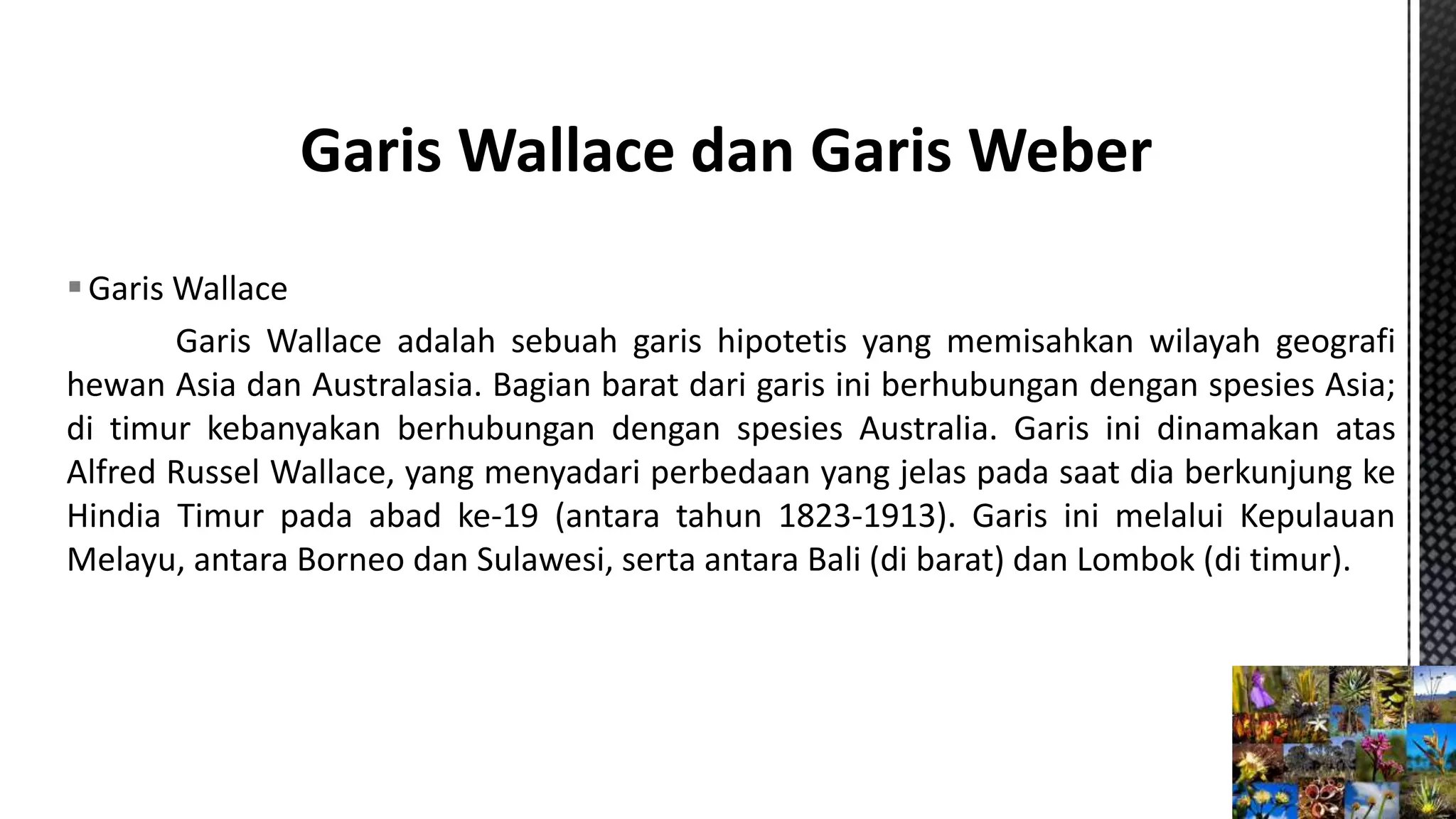 Bab 2 Biologi Kelas X (Keanekaragaman Hayati) | PPTX