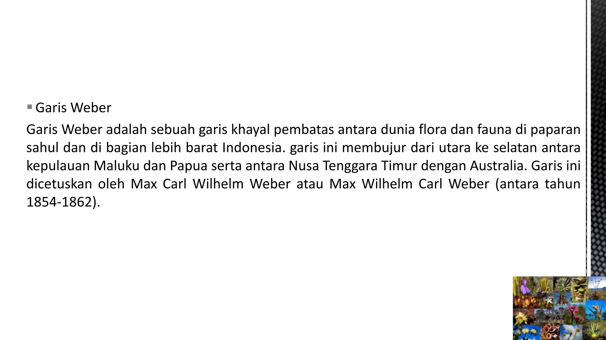 Bab 2 Biologi Kelas X (Keanekaragaman Hayati) | PPTX