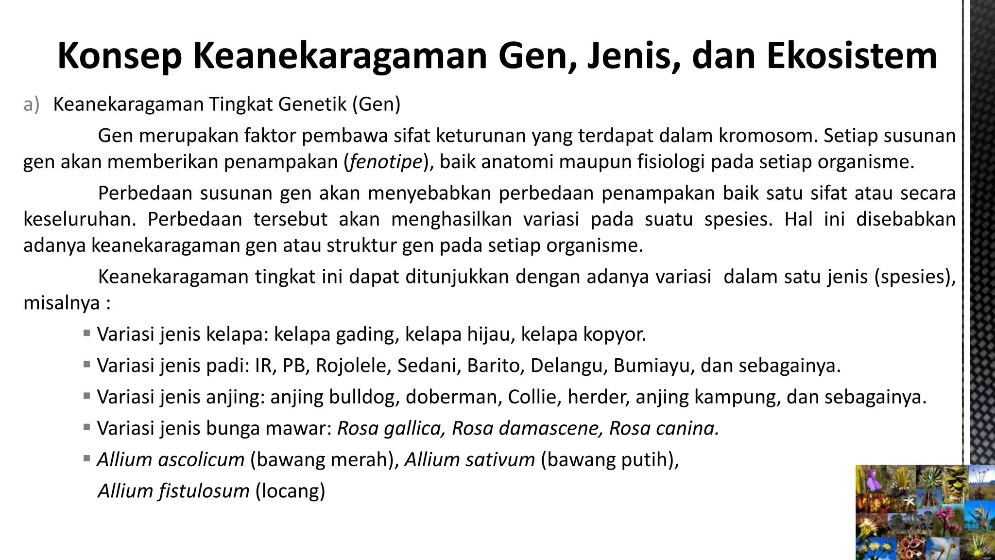 Bab 2 Biologi Kelas X (Keanekaragaman Hayati) | PPTX