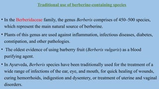 PHYTOCHEMISTRY-BERBERINE-M.PHARM-I-SEMESTER | PPTX
