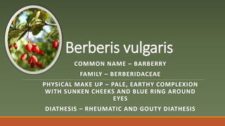 Berberis vulgaris Homoeopathic materia medica slide show presentation ...
