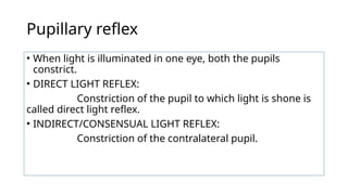 Ophthalmology pupillary reflex pathway 3rd year mbbs | PPTX