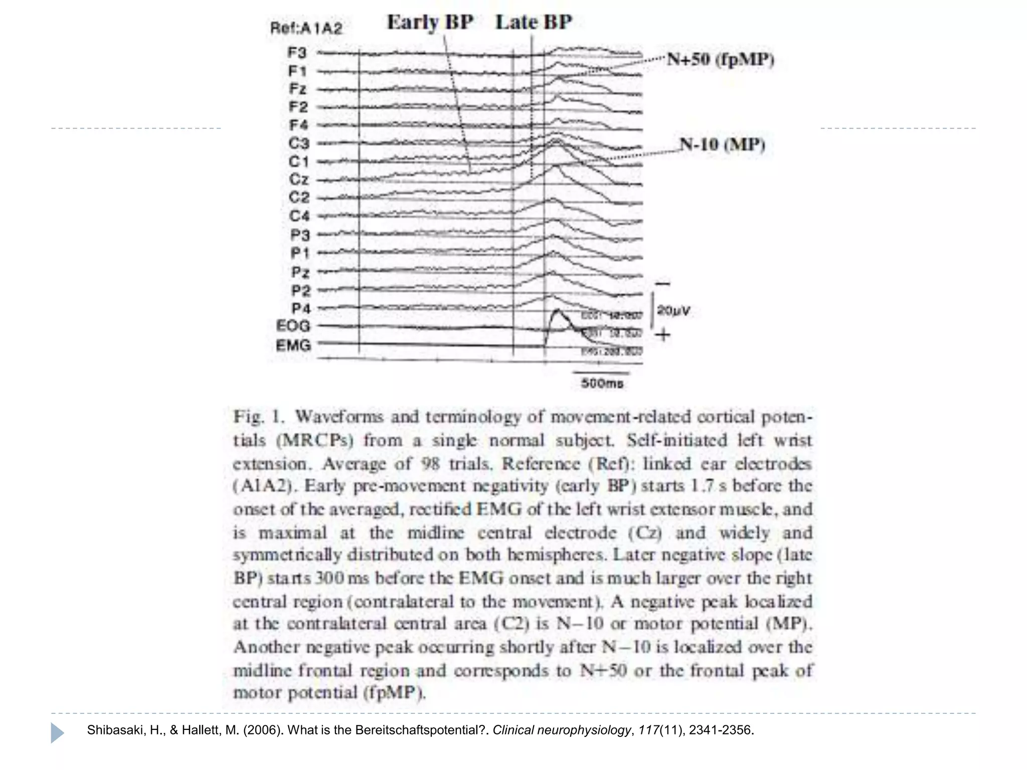 Bereitschaftspotential | PPTX