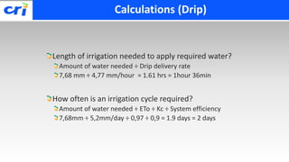 Berekeninge Drip besproeiing.pptx