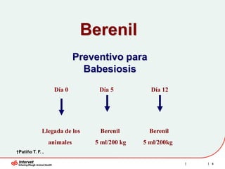 Berenil msd antiparasitarios finca productiva | PPTX