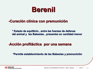 Berenil protocolo preventivo msd antiparasitarios finca productiva | PPT