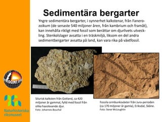 Bergarter och Bergartscykeln (Geografi lektionsmaterial) | PPTX