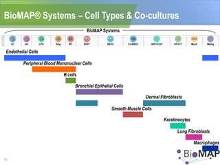 Selection of Safer and More Effective Anti-inflammatory Kinase ...