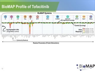 Selection of Safer and More Effective Anti-inflammatory Kinase ...