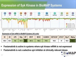 Selection of Safer and More Effective Anti-inflammatory Kinase ...