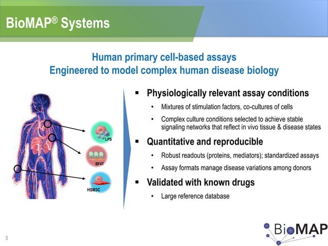 Selection of Safer and More Effective Anti-inflammatory Kinase ...
