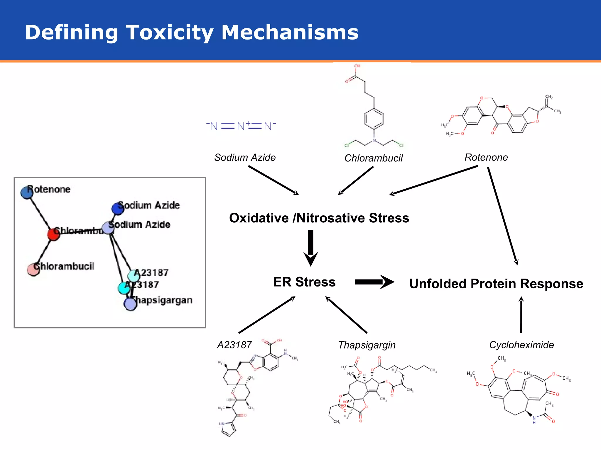 Defining Chemical Target and Pathway Toxicity Mechanisms with Primary ...