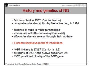 Current Norrie Disease Research | PPTX