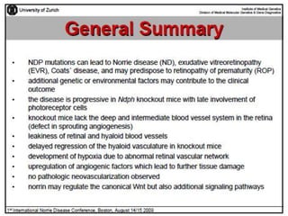 Current Norrie Disease Research | PPTX