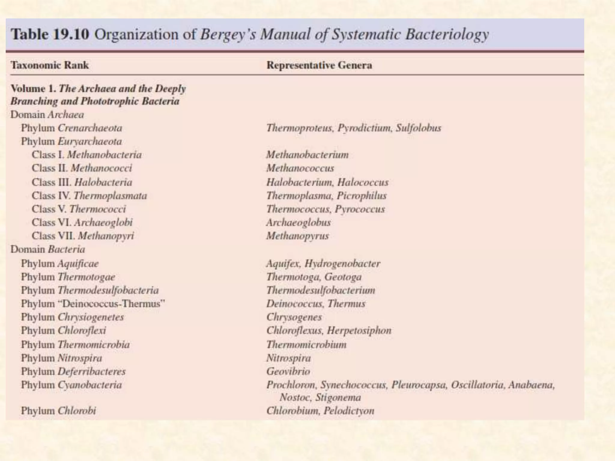 Bergey's Manual of systematic bacteriology | PPTX