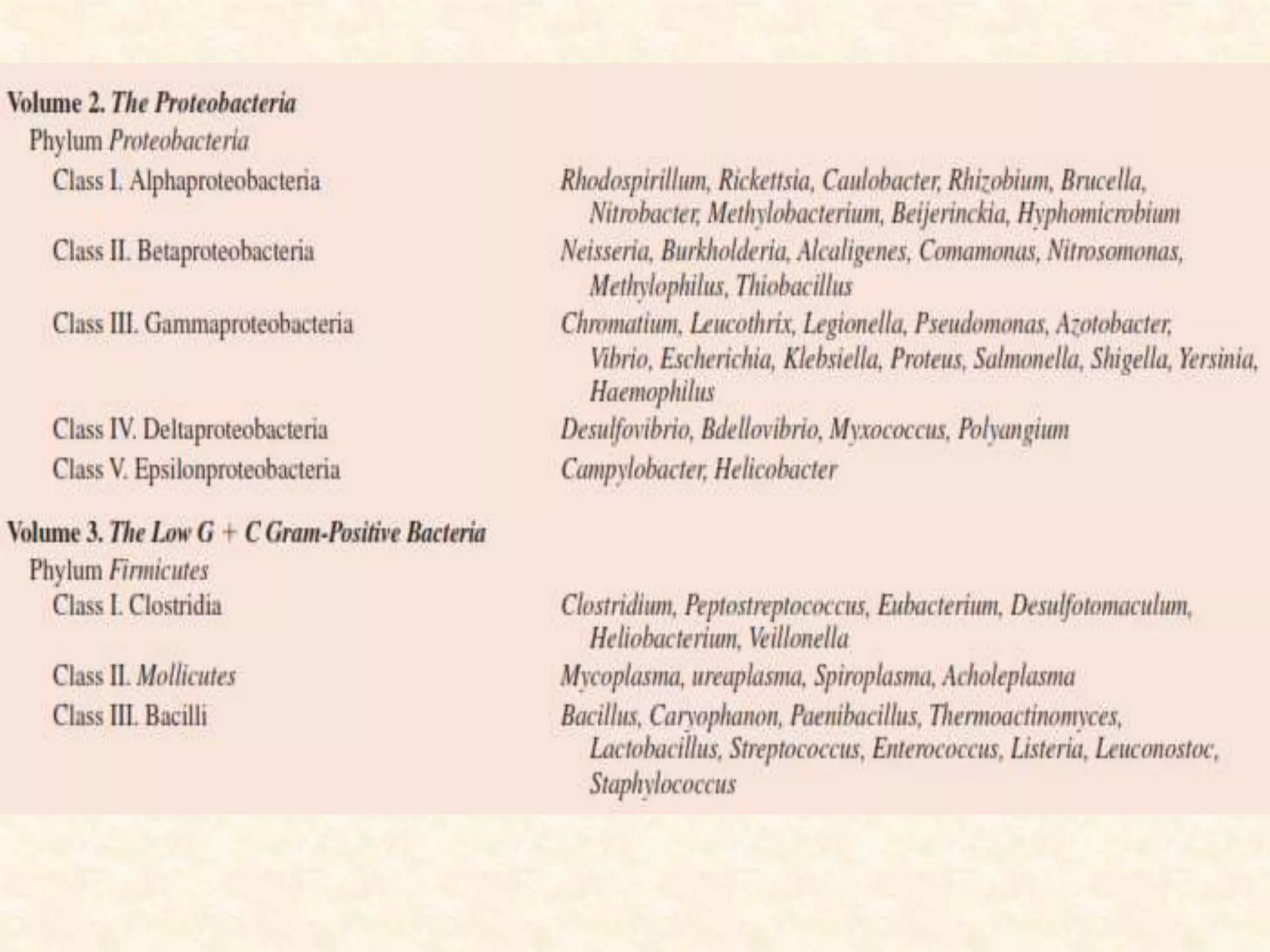 Bergey's Manual of systematic bacteriology | PPTX