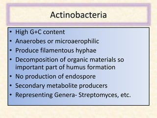 Bergey's Manual of systematic bacteriology | PPTX