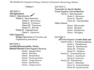 bergeysclassificationpresentation-171022145035.pdf