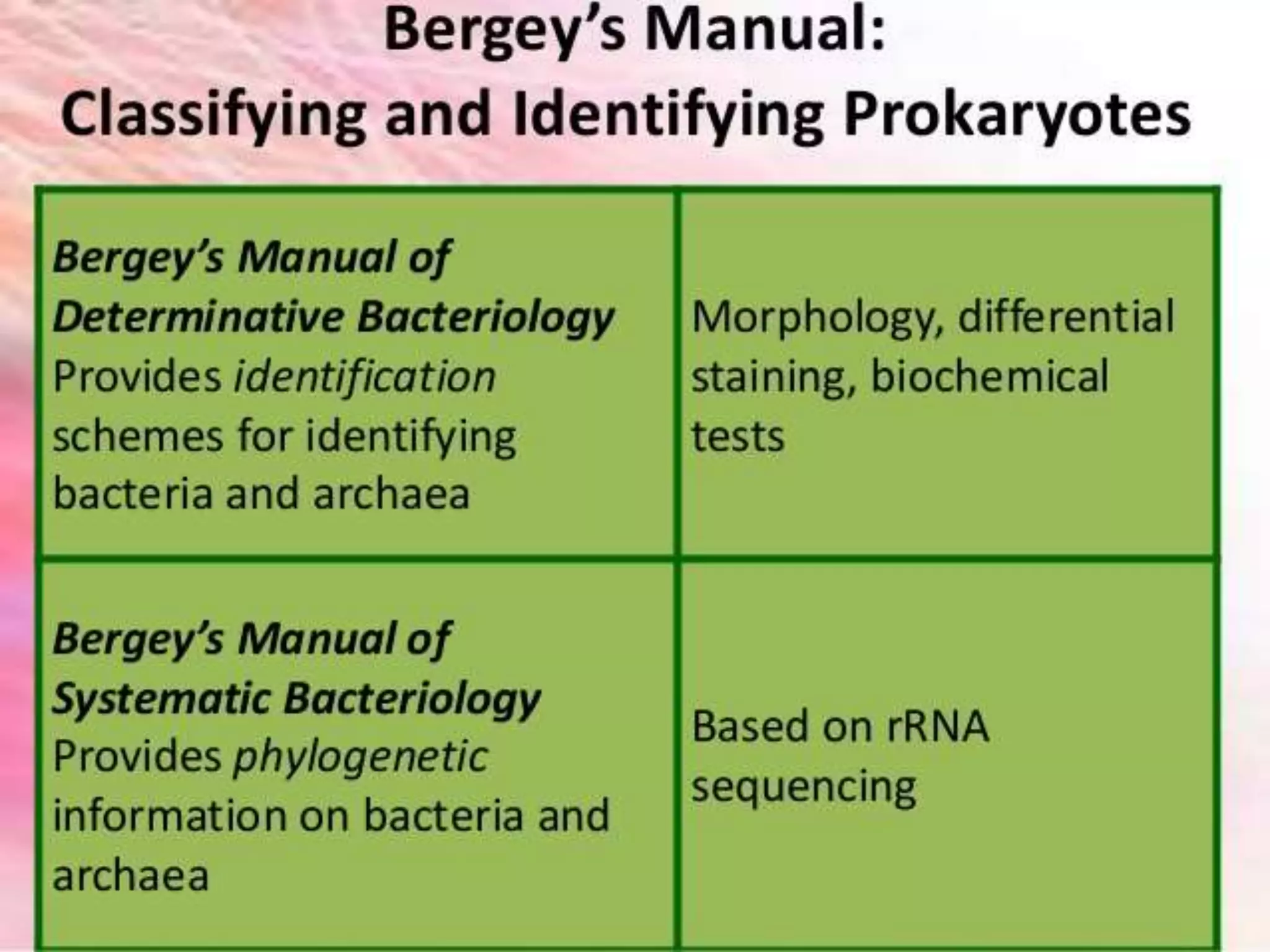 Bergey's classification presentation | PPTX